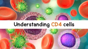 Understanding CD4 cells - World HIV Day